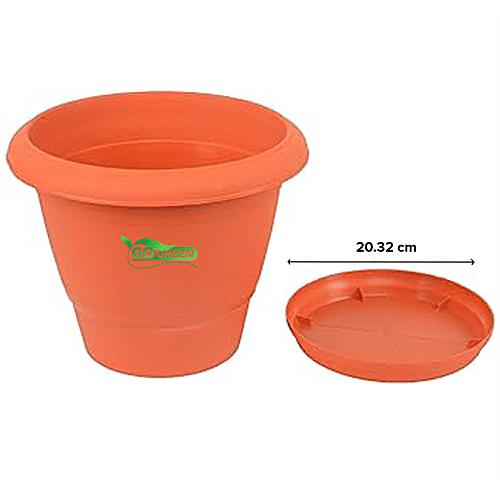 Buy Go Green Flower Pot Plate No 100 - Brown, 20.32 cm Online at Best ...