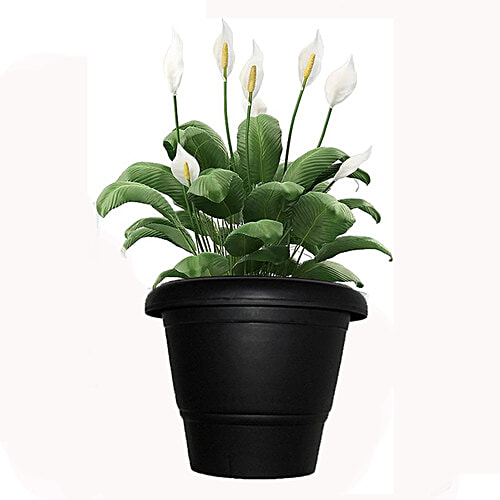 Buy Go Green Premium Flower Pot No 80- Black, 20.95 x 17.14 cm Online ...
