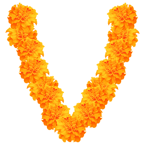 Buy fresho! Flower Garland - Yellow Online at Best Price of Rs 50.4 ...
