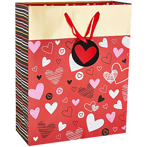 Buy Creative Space Paper Carry Bag For Gifting & Return Gift, 22 x 1 x ...
