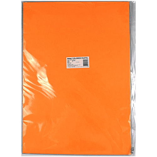 Buy Oddy A3 Pastel Sheets - Multicolour Online at Best Price of Rs 149 ...
