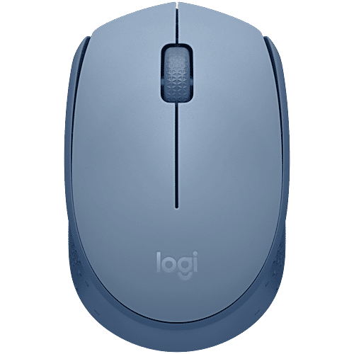 Buy Logitech M171 Wireless Optical Tracking And Ambidextrous Mouse ...