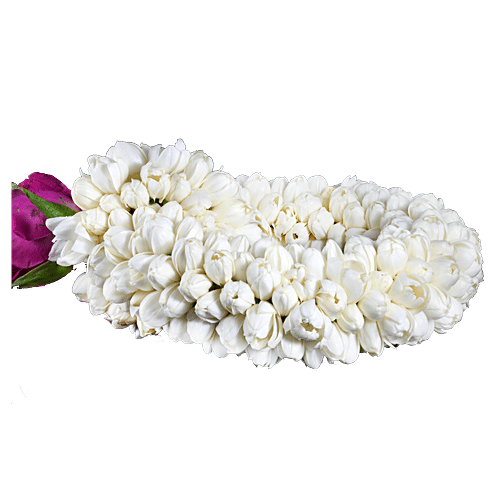 Buy fresho! Jasmine String - Gajra, 20 cm Online at Best Price of Rs ...