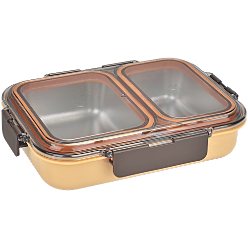 Buy Pratap Lunch Box Steel, Ceelik Duo, Brown Online at Best Price of ...