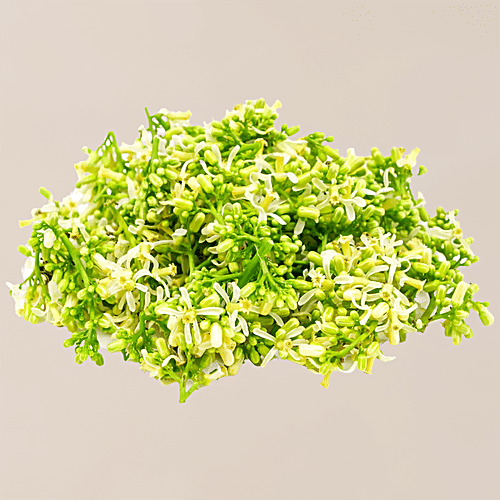 Buy fresho! Neem Flower Online at Best Price of Rs 30.4 - bigbasket