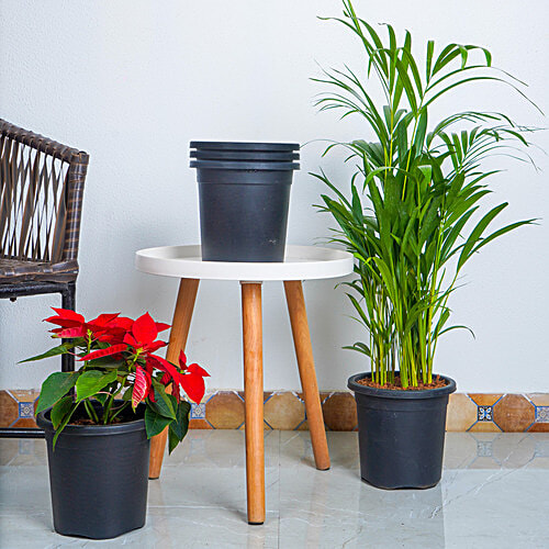 Buy Nurturing Green Nursery Plastic Pots - 20 x 19 cm Online at Best ...