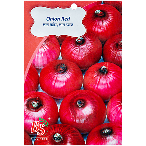Buy Bombay Seeds Onion Red Seeds Online at Best Price of Rs 59 - bigbasket