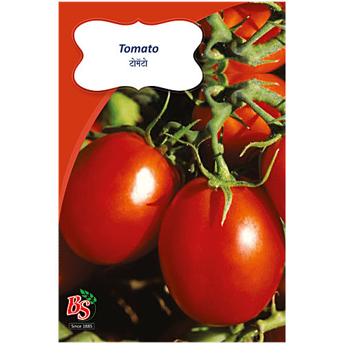 Buy Bombay Seeds Tomato Seeds Online at Best Price of Rs 59 - bigbasket