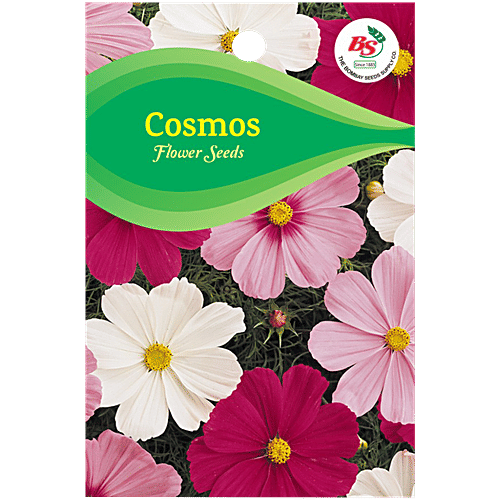 Buy Bombay Seeds Cosmos Flower Seeds Online at Best Price of Rs 79 ...