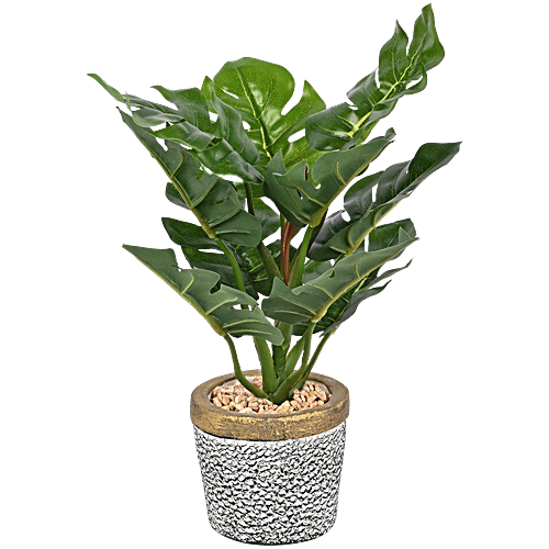 Buy DP Mini Monstera Artificial Plant - 8 x 33 cm Online at Best Price ...