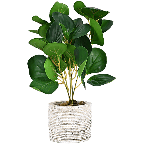 Buy DP Mini Monstera Artificial Plant - 9.5 x 31 cm Online at Best ...