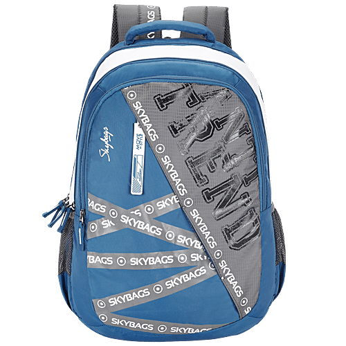 Buy Skybags Riddle School Bp-Rc Backpack - Blue & Grey Online at Best ...