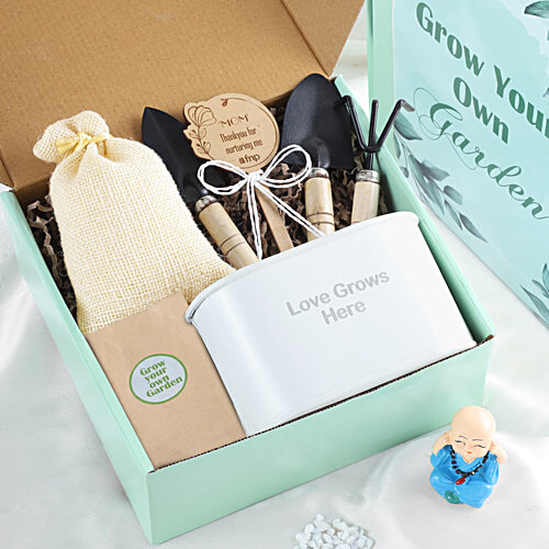 Buy FNP Gardeners Bloom Gift Hamper Online at Best Price of Rs 599 ...