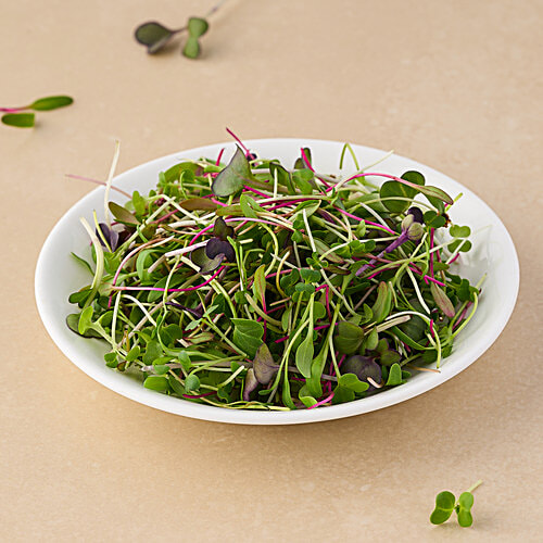 Buy fresho! Mix (Purple Sango Radish + Spinach + Mustard + Beetroot ...