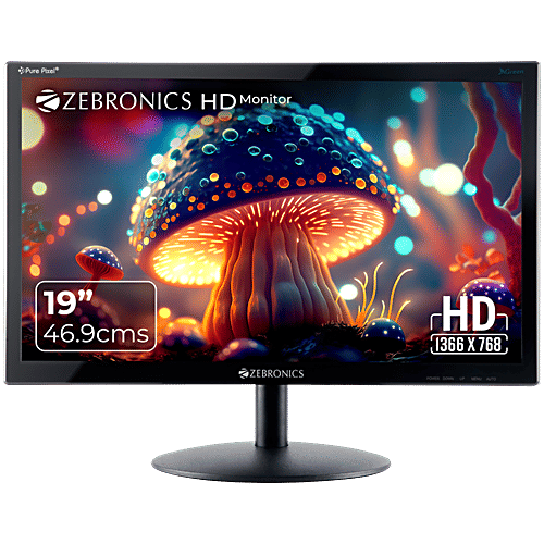 Buy Zebronics V19HD 18.5 Inch LED Monitor With HDMI VGA Input, HD ...