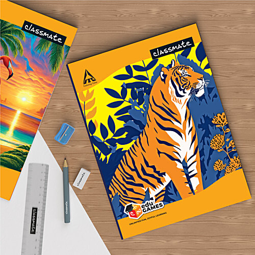 Buy Classmate 120 Pages Single Line Notebook - 18 x 24 cm, Assorted ...