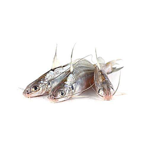 Buy Eagle Fisheries Fish - Jalla Online at Best Price of Rs null ...