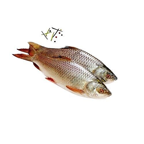 Buy Ocean Fresh Fish - Rohu Online at Best Price of Rs null - bigbasket