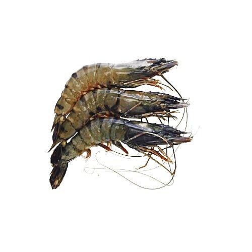 Buy Ocean Fresh Fish - Eral / Prawn, Big Online at Best Price of Rs ...
