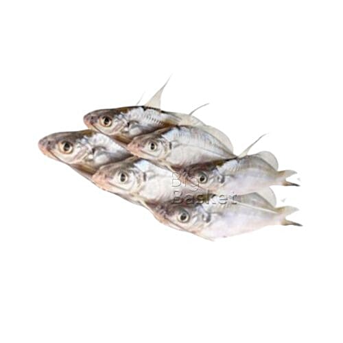 Buy Jalongi White Tengra Online at Best Price of Rs null - bigbasket