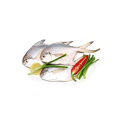 Buy Zinga Fresh Fish Silver Pomfret 500 Gm Tray Packing Online at the ...