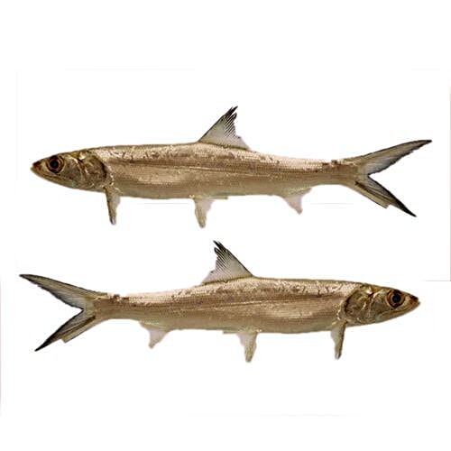 Buy Unique Meat World Fish - Lady Cut Into 3 Pcs 500 gm 1 pack (Cut ...