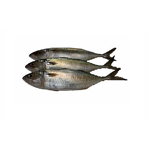 Buy Fresh Fish Chicken Mutton Mart Fish - Mackerel 500 gm Curry Cut ...