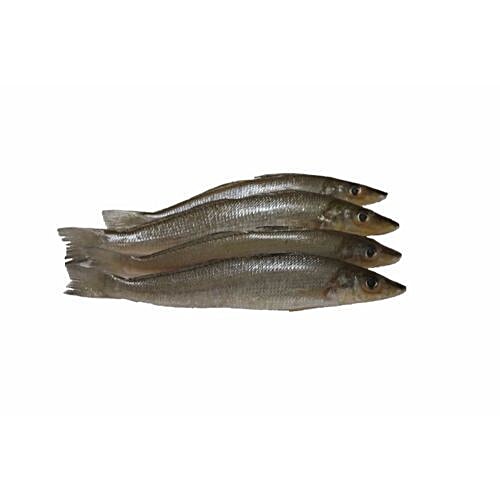Buy Fresh Fish Chicken Mutton Mart Fish - Lady 500 gm Just Cleaned ...