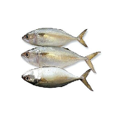 Buy Meena Fish Fish Bangda Mackerel 1 Kg Size 8 10 Online at the Best ...