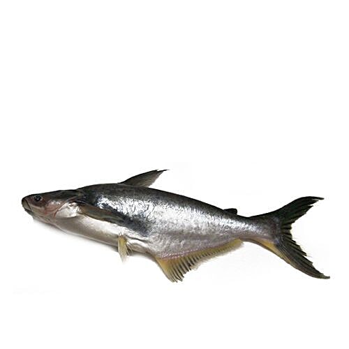 Buy Sakana Fish - Cat Fish / Pungus / Basa 1 Kg (Fry Cut) Online at ...