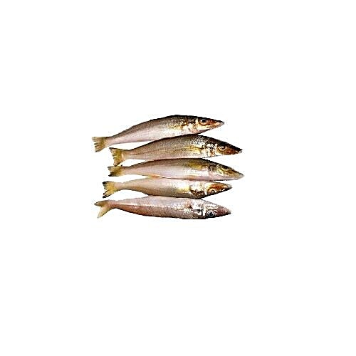 Buy Fish Chicken Shopee Fish Lady Fish White Killanga 500 Gm Online at ...
