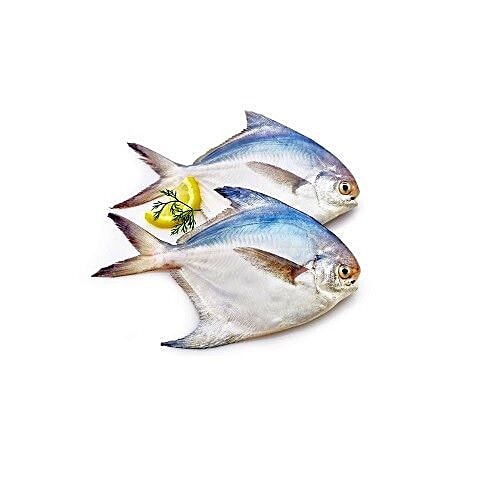 Buy Fish Chicken Shopee Fish White Pomfret Vavval 1 Kg Online at the ...