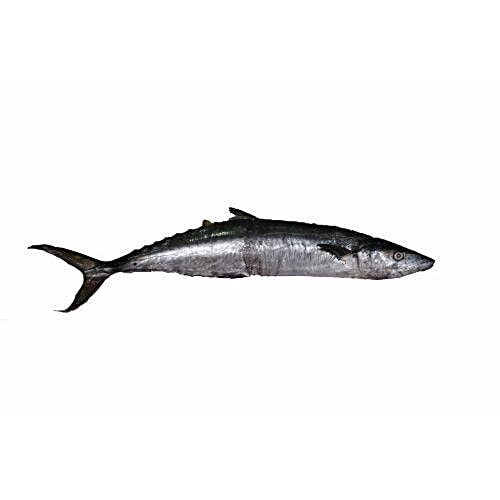 Buy Fresh Catch Fish - Seer 500 gm (Fillet( Without Skin)) Online at ...