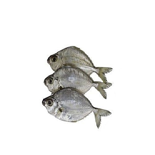 Buy Samudra Fish Stall Fish - Mullan / Silver Belly 1 kg (Fry Cut ...