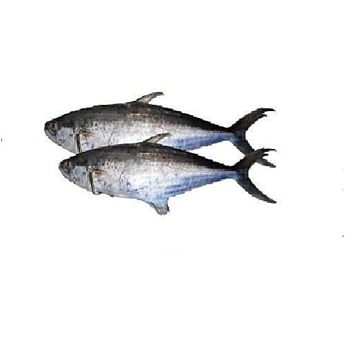 Buy New Fish n Fresh Fish - Seer / Vajiram Online at Best Price of Rs ...