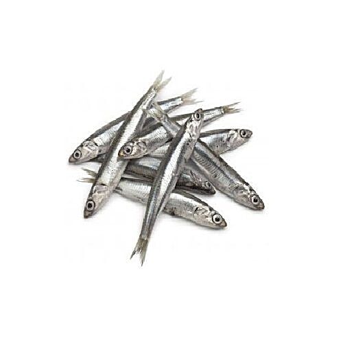 Buy New Fish n Fresh Fish - Nethili / Anchovy Online at Best Price of ...