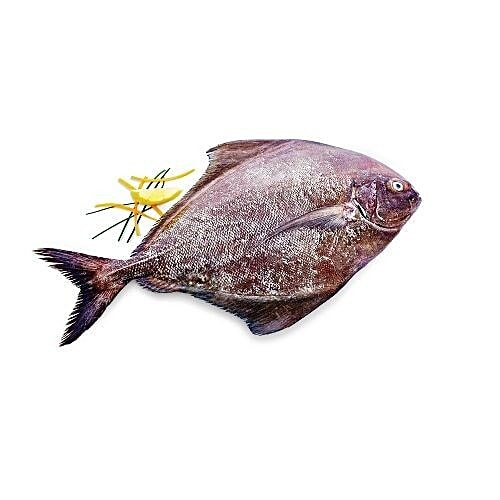 Buy Fish & Chicken Shopee Fish - Black Pomfret / Vavval Online at Best ...