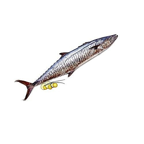 Buy Fish & Chicken Shopee Fish - Seer Fish / Vanjaram Online at Best ...