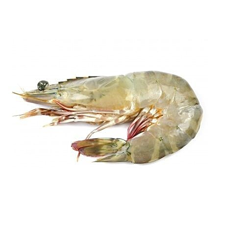 Buy Bengali Fish Corner Hybrid White Tiger Prawn Chapra Chingri Venami ...