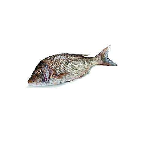 Buy MRF Sea Foods Fish - Emperor / Vilai Meen Online at Best Price of ...