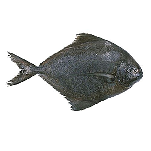 Buy RK Seafood Fish - Black Pomfret 500 gm (Curry Cut) Online at Best ...
