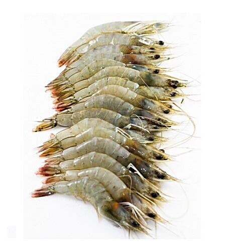 Buy Fresh Catch Prawns - Sea Jumbo Fresh Catch Online at Best Price of ...