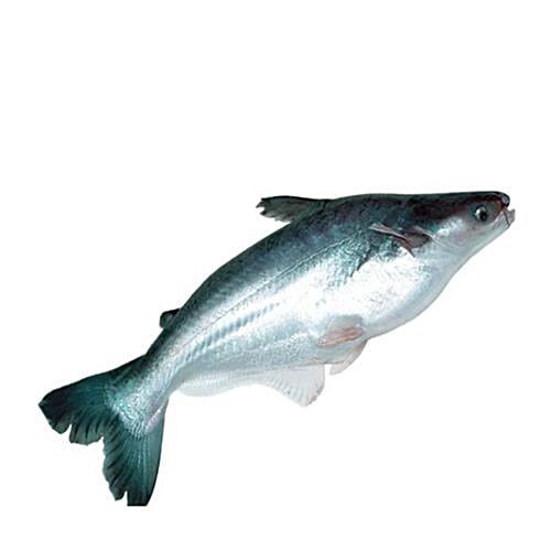 Buy Fresh Catch - BTM Fish - Basa 1 kg (Curry Cut) Online at Best Price ...
