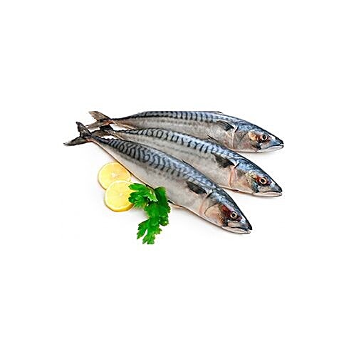 Buy Fish Fresho Fish - Mackerel, 3 To 5 Count Online at Best Price of ...