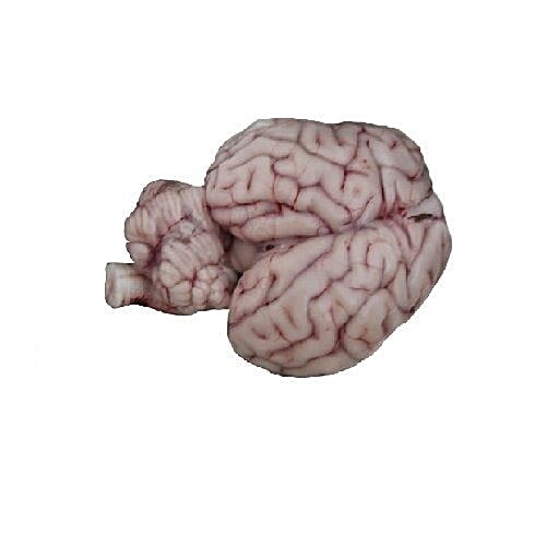 Buy Diamond Meat Mart Mutton - Goat Brain Online at Best Price of Rs ...