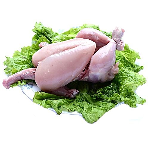 Buy Shanthi Frozen Chicken - Whole Broiler / Full, With Skin, Halal Cut ...
