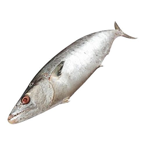 Buy Machhi Bazaar Fresh Fish - Surmai Big, Fillets Online at Best Price ...