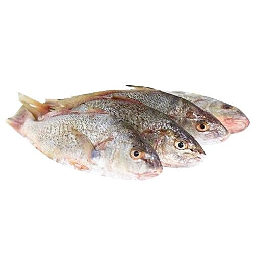 Buy Machli Ghar Fish - Bhola Online at Best Price of Rs null - bigbasket