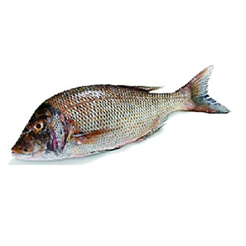 Buy Covelong Fish Mart Fish - Emperor / Vilai Meen Online at Best Price ...
