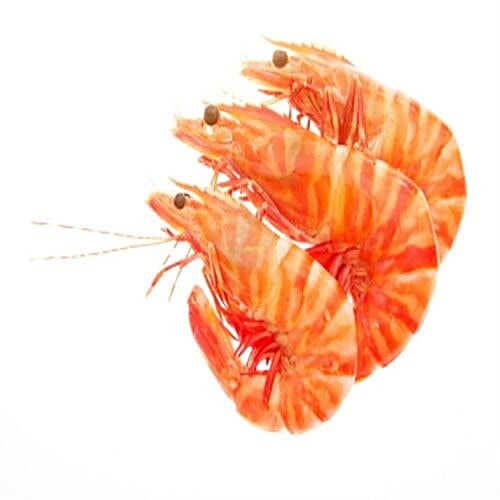 Buy Fitbit Fresh Prawn / Chingri (Small) Online at Best Price of Rs ...